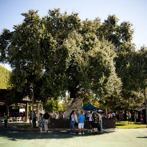 NORTH MODESTO CHURCH OF GOD - Updated October 2025 - 1918 Sherwood Ave ...