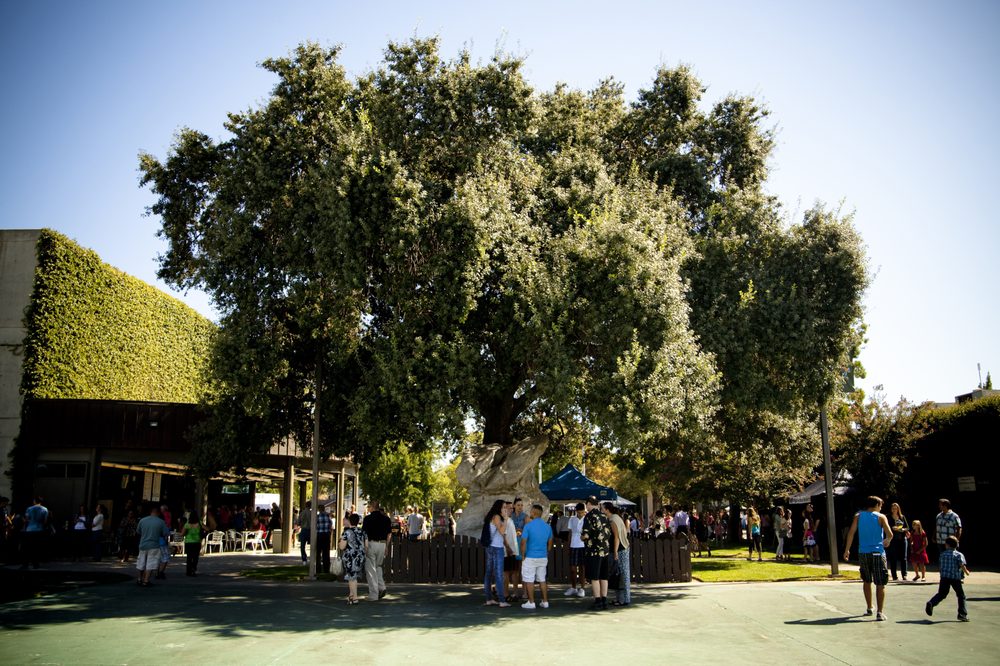 CROSSPOINT COMMUNITY CHURCH - Updated January 2026 - 12 Photos - 1301 ...