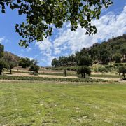 RILEY’S FARM - 696 Photos & 317 Reviews - Fruits & Veggies - 12261 S ...