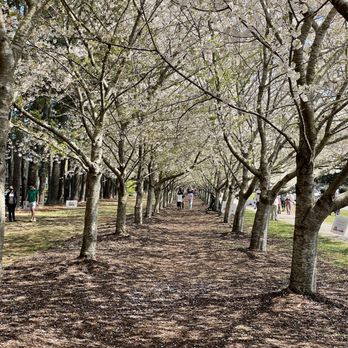 RED WING PARK - Updated May 2025 - 528 Photos & 71 Reviews - 1398 ...