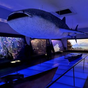 GARVIES POINT MUSEUM & PRESERVE - Updated May 2025 - 83 Photos & 16 ...