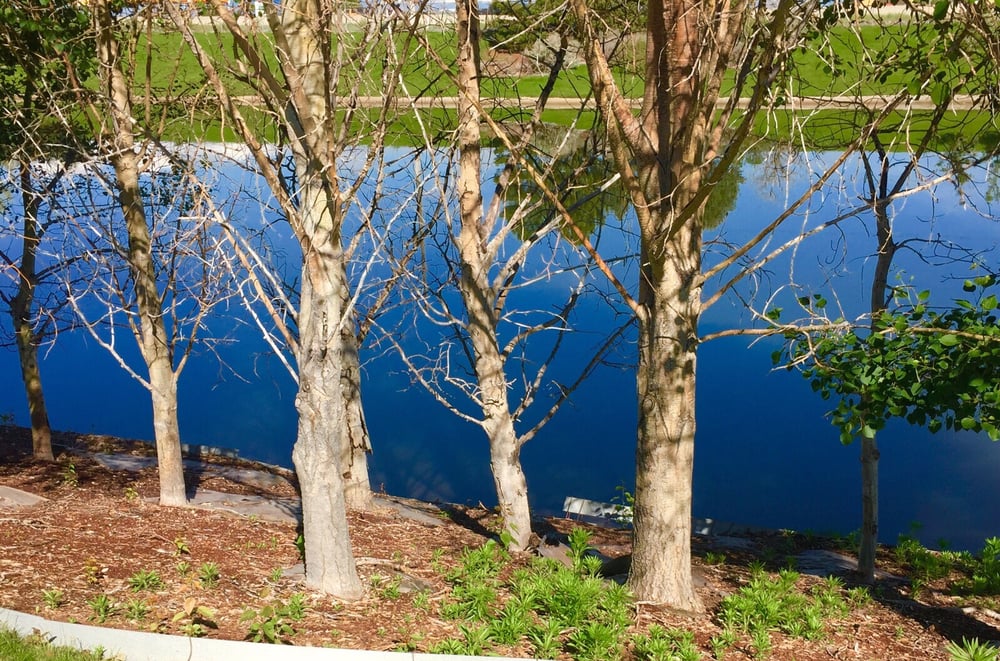 AMERICAN EAGLE PROTECTIVE SERVICES - Updated May 2025 - 12 Photos - 161 ...