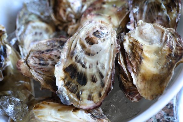 DRY DOCK FISH CO - 268 Photos & 261 Reviews - Seafood Markets - 1015 E ...