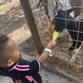 TINEZ FARMS - Updated September 2025 - 357 Photos & 65 Reviews - 16405 ...