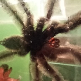 VICTORIA BUG ZOO - Updated December 2025 - 130 Photos & 123 Reviews ...