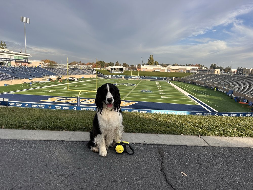 UC DAVIS HEALTH STADIUM - Updated October 2025 - 170 Photos - Davis ...