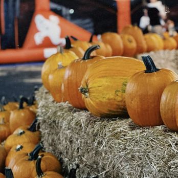SEASONAL ADVENTURES PUMPKIN PATCH AND CHRISTMAS TREES - Updated October ...