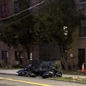 PARKCHESTER PRESERVATION MANAGEMENT - Updated January 2025 - 58 Photos ...