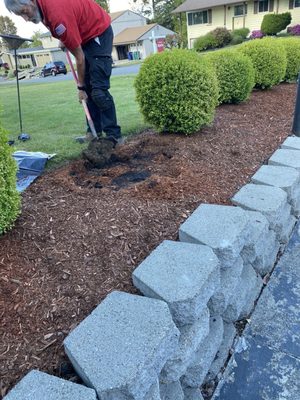 FloHawks Plumbing and Septic - Updated December 2025 - 18 Photos - 99 ...