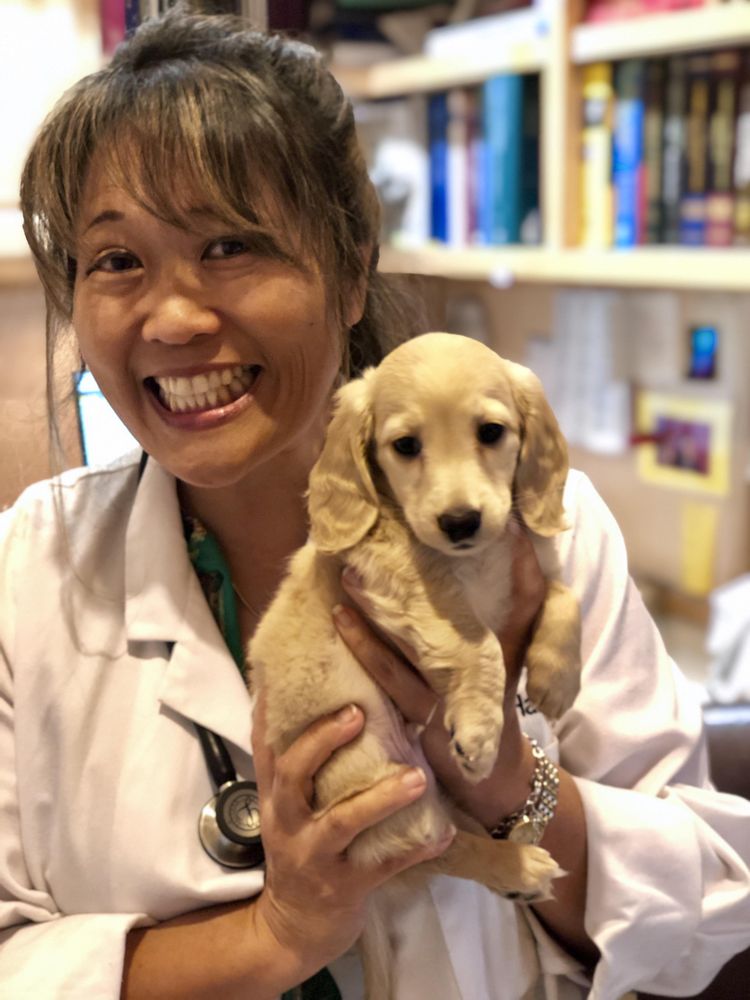 LIZ HANSON, DVM - NEWPORT ANIMAL HOSPITAL - Updated July 2025 - 21157 ...