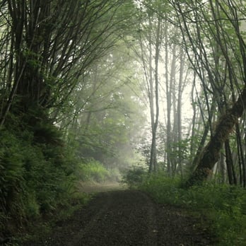 ANDERSON POINT COUNTY PARK - Updated December 2025 - SE Milihanna Rd ...