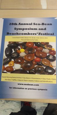 COCOA BEACH PUBLIC LIBRARY - Updated September 2025 - 43 Photos - 550 N ...