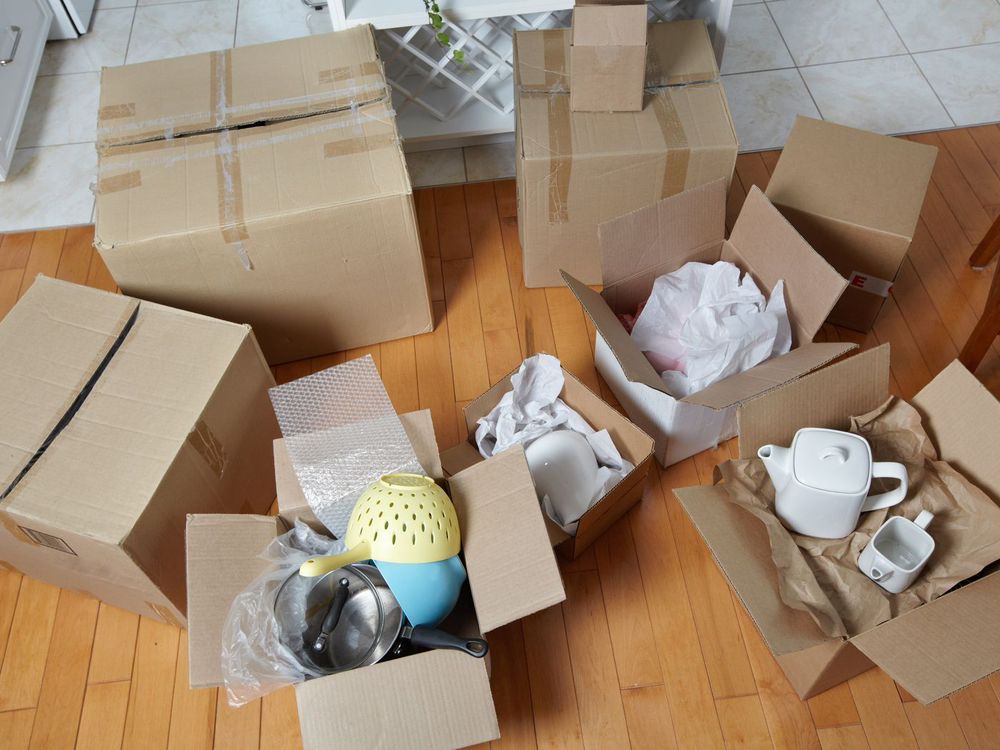 IORGANIZE - Updated December 2025 - 184 Photos & 19 Reviews - Los ...