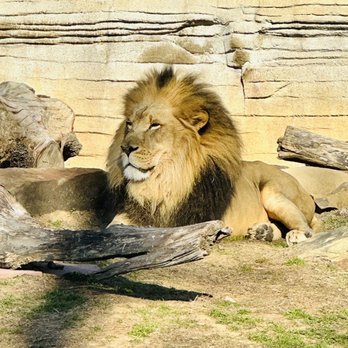 TULSA ZOO - Updated May 2024 - 495 Photos & 121 Reviews - 6421 E 36th ...