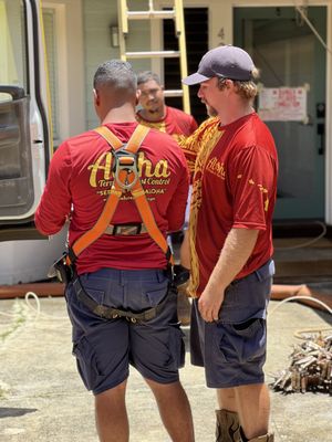 ALOHA TERMITE & PEST CONTROL - Updated December 2025 - 65 Photos & 240 ...