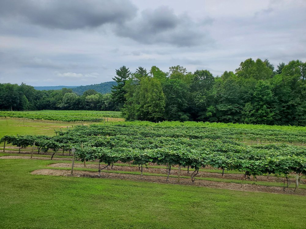 FRENCH RIDGE VINEYARDS & WINERY - 28 Photos & 18 Reviews - 2586 ...