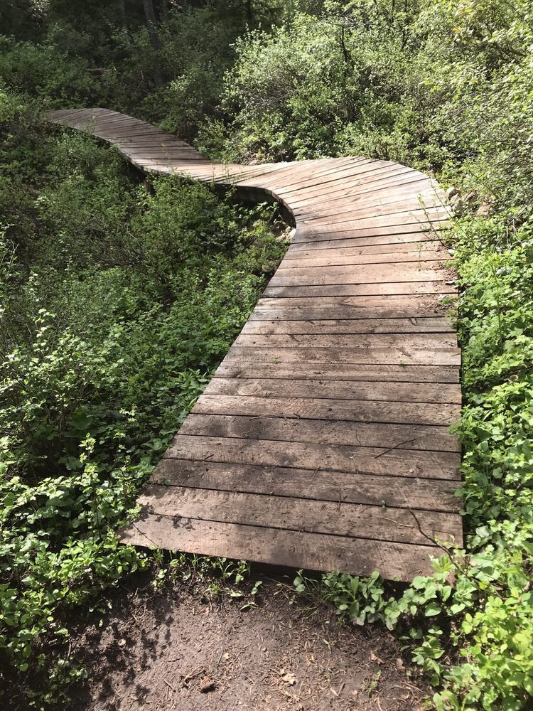 BIGHORN NATIONAL FOREST RED GRADE ROAD - 19 Photos - 2013 Eastside 2nd ...