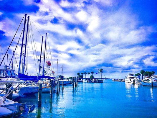 DUNEDIN MARINA - Updated January 2026 - 50 Photos & 10 Reviews - 158 ...