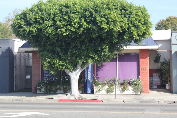 MAYA ROTH, ND - Updated December 2025 - 4110 Sorrento Valley Blvd, San ...