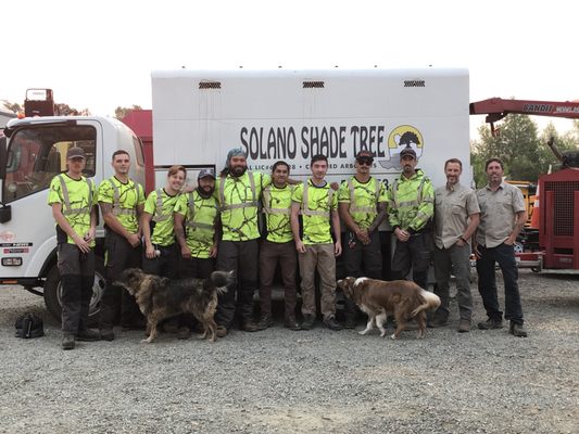 SOLANO SHADE TREE - Updated September 2025 - 18 Reviews - Vacaville ...