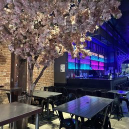 SAKU RAMEN - Updated July 2025 - 707 Photos & 945 Reviews - 3643 Main ...