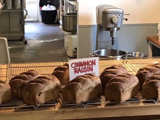 SMILING PELICAN BAKE SHOP - Updated August 2025 - 17 Photos & 25 ...