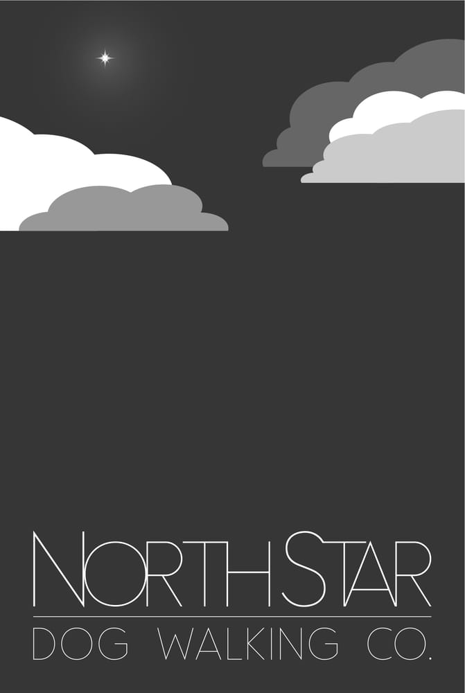 NORTH STAR DOG WALKING - Centre St, Boston, MA - Yelp