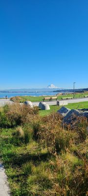 RUSTON WAY WATERFRONT - 161 Photos & 40 Reviews - Tacoma, Washington ...