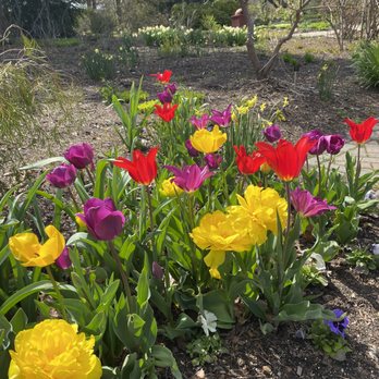 GREEN SPRING GARDENS - Updated June 2025 - 687 Photos & 71 Reviews ...