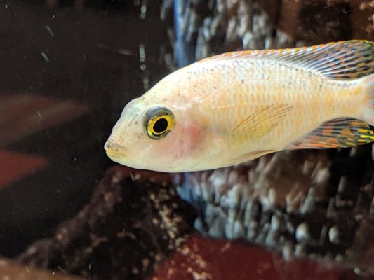 CANTON PUBLIC LIBRARY - Updated November 2025 - 111 Photos & 30 Reviews ...