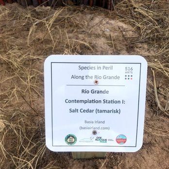 PASEO DEL BOSQUE TRAIL - Updated July 2025 - 117 Photos & 28 Reviews ...