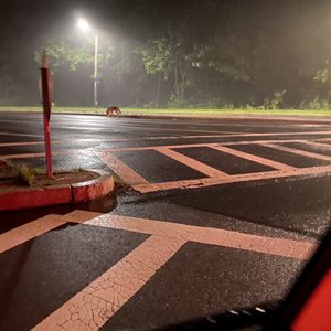 BUCKMASTER POND - 15 Photos - Lakes - 350 Pond St, Westwood, MA - Yelp