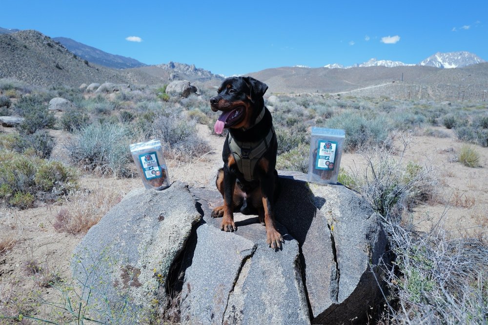 FANCY PUP TREATS - Updated April 2025 - 13 Photos - 1411 Kuehner Dr ...