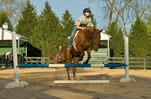 THE EQUESTRIAN RESERVE - Updated May 2026 - 42 Photos - 739 Old ...