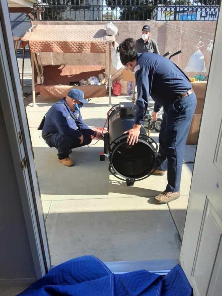 PESTCAL EXTERMINATORS - Updated May 2025 - 72 Photos & 186 Reviews ...