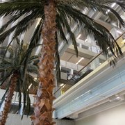 BROWARD COUNTY LIBRARIES - MAIN LIBRARY - 65 Photos & 32 Reviews - 100 ...