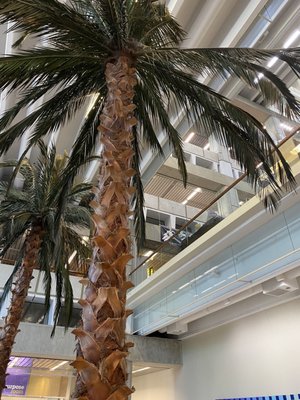 BROWARD COUNTY LIBRARIES - MAIN LIBRARY - Updated June 2026 - 76 Photos ...