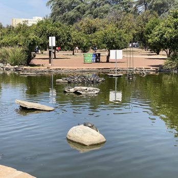 CSUN POND - Updated January 2026 - 343 Photos & 87 Reviews - 18111 ...
