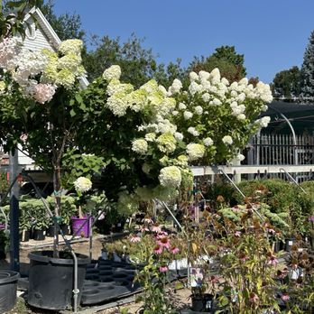 THE TREE FARM NURSERY & GARDEN CENTER - Updated December 2025 - 34 ...