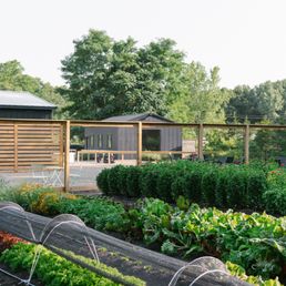 FARMETTE - Updated June 2025 - 41 Photos - 18439 US-12, New Buffalo ...