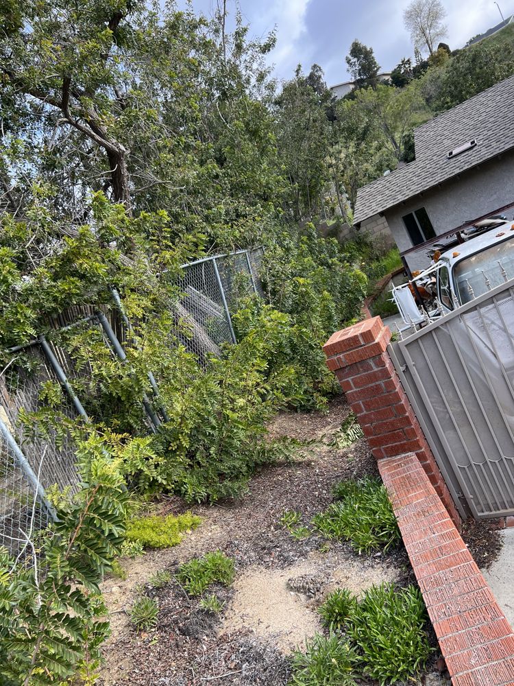 DRAGON’S LANDSCAPING - 11 Photos - Azusa, California - Tree Services ...