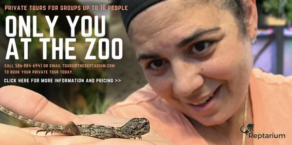 THE REPTARIUM - Updated December 2025 - 13 Photos - 45559 Van Dyke Ave ...