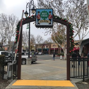 NUT TREE - Updated December 2025 - 299 Photos & 134 Reviews - 1661 E ...