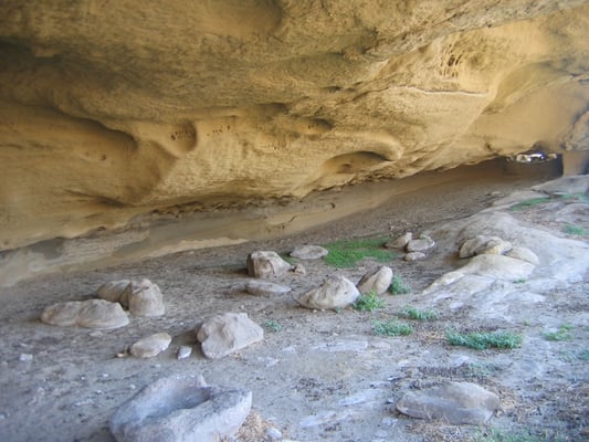 VASCO CAVES REGIONAL PRESERVE - Updated December 2025 - 20 Photos ...
