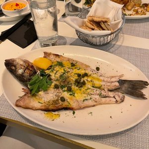 KYMA - 582 Photos & 307 Reviews - 15 W 18th St, New York, NY - Menu - Yelp