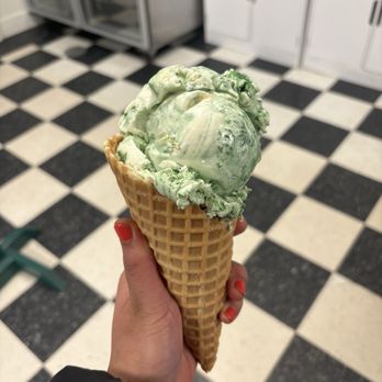 MSU DAIRY STORE - Updated August 2025 - 184 Photos & 258 Reviews - 474 ...