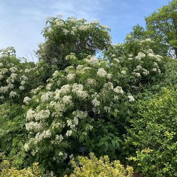 BOERNER BOTANICAL GARDENS - Updated September 2025 - 388 Photos & 64 ...