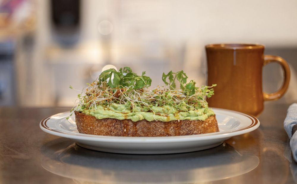 THE TOASTY BADGER - Updated July 2025 - 397 Photos & 176 Reviews - 2206 ...