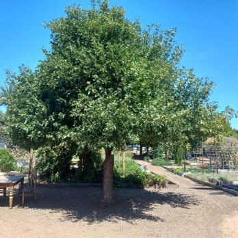 AGRITOPIA - Updated January 2026 - 142 Photos & 44 Reviews - 3000 E Ray ...