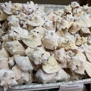 SHELL WORLD - 170 Photos & 91 Reviews - 97600 Overseas Hwy, Key Largo ...